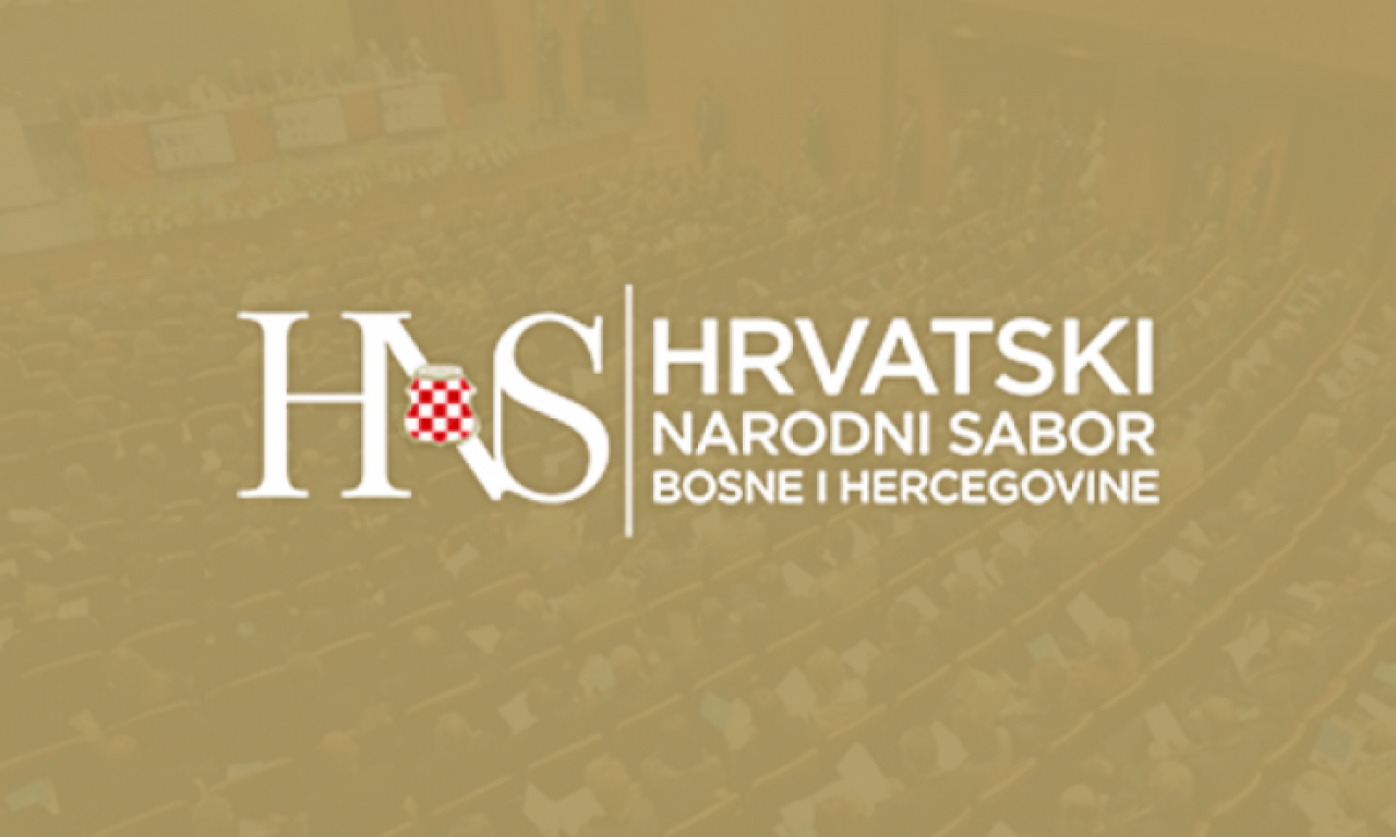 HNS: Schmidt podlegao nezapamćenom ratnohuškaškom pritisku - BosnaInfo