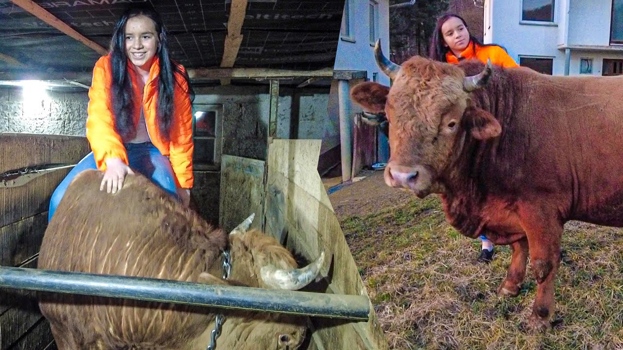 Emina ima samo 16 godina, trenira životinje teže od jedne tone (VIDEO) - BosnaInfo