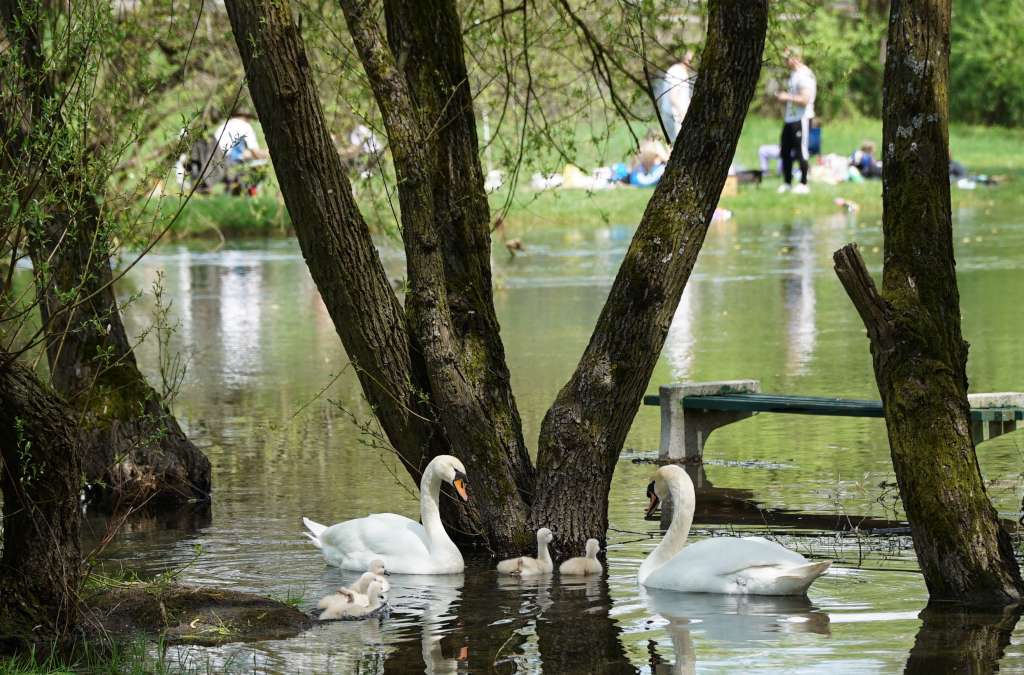 Pogledajte kako izgleda prvomajski dernek na Vrelu Bosne - BosnaInfo