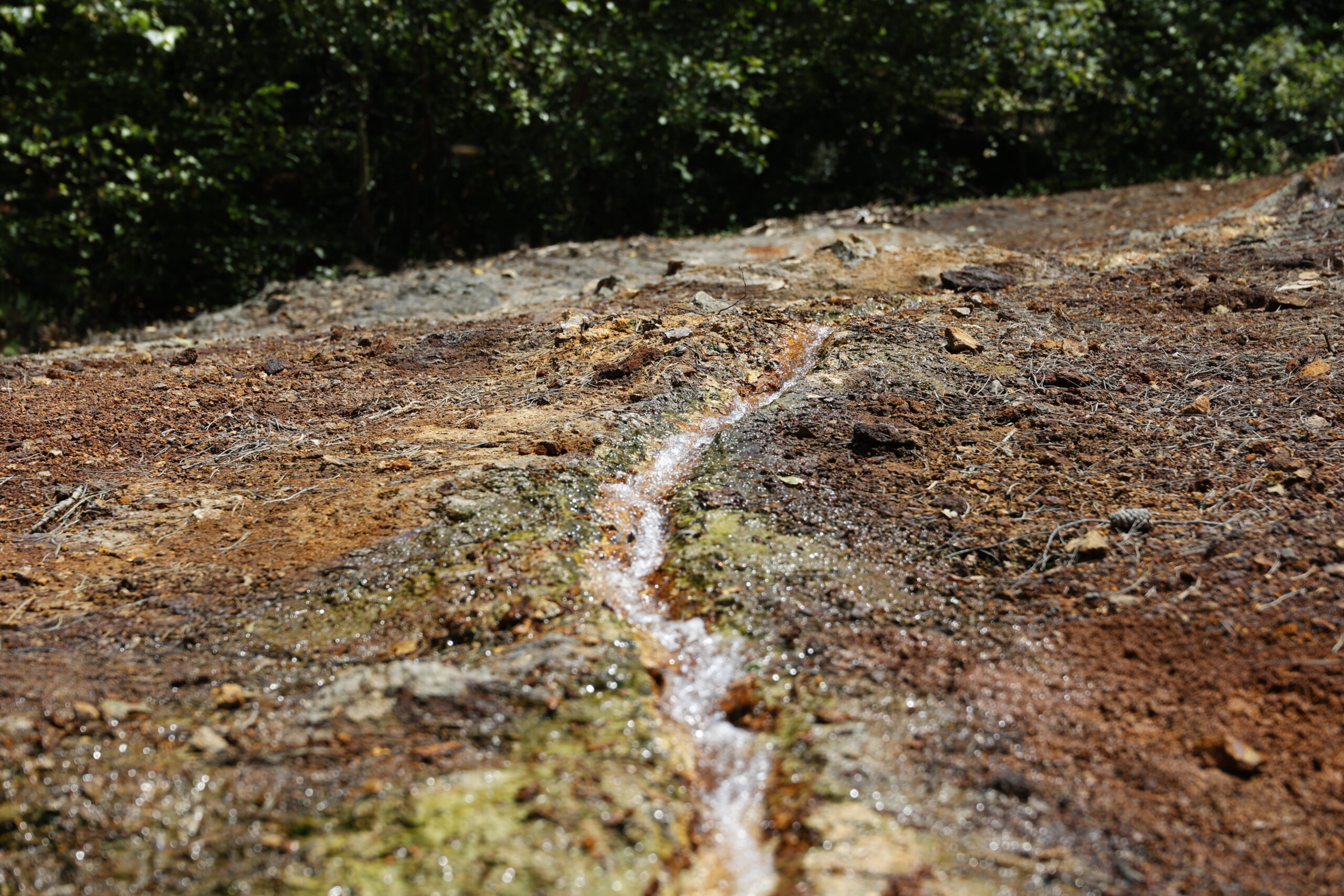 Sekulić za Bosnainfo: Guber voda - bogatstvo koje otiče u kanalizaciju ...