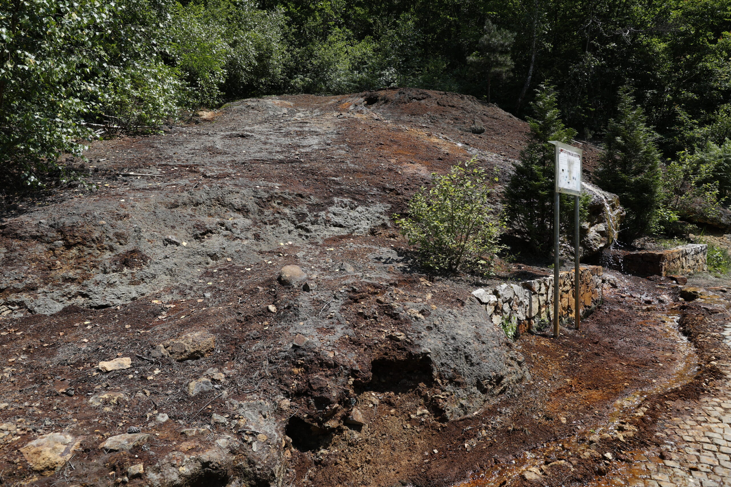 Sekulić za Bosnainfo: Guber voda - bogatstvo koje otiče u kanalizaciju ...