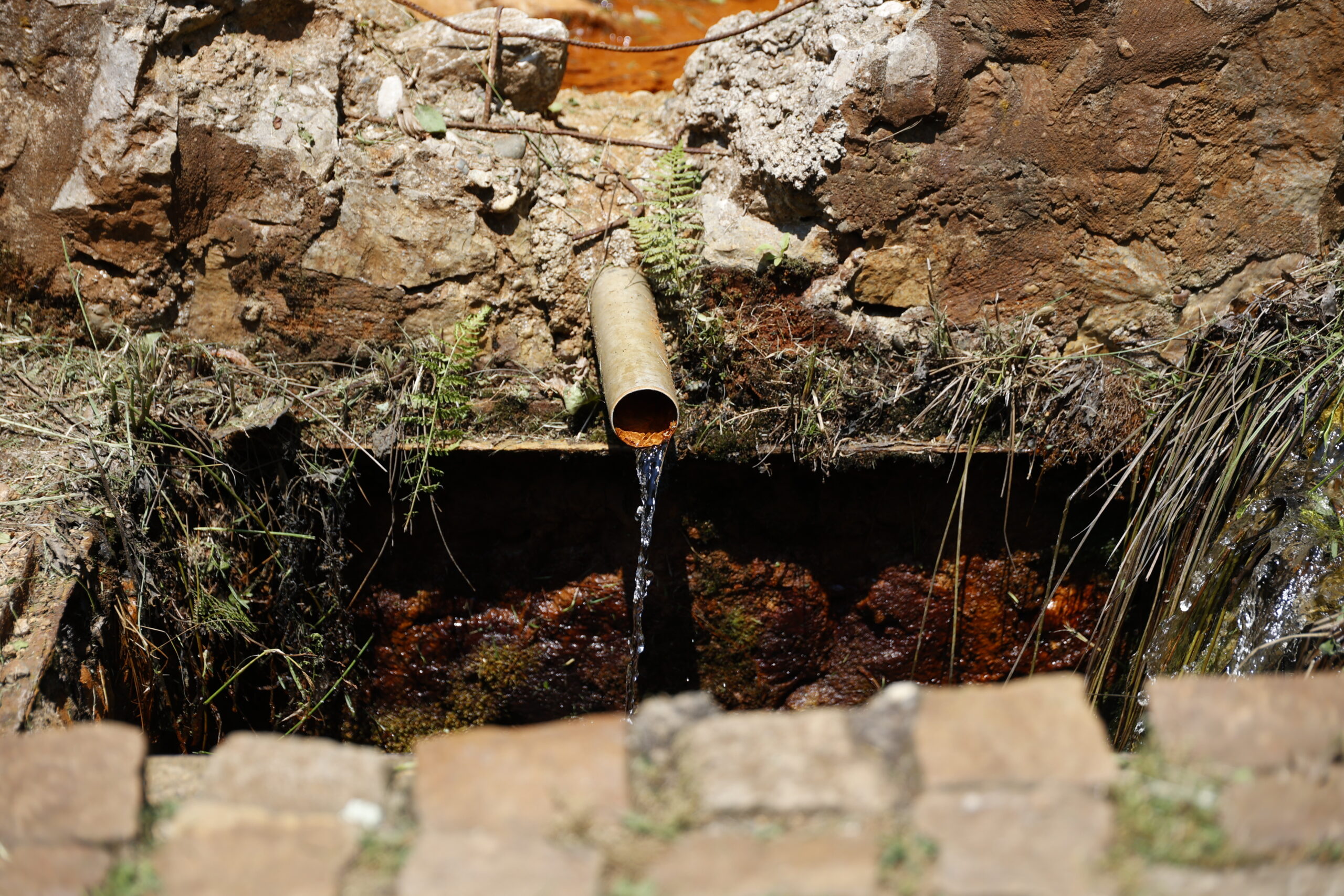 Sekulić za Bosnainfo: Guber voda - bogatstvo koje otiče u kanalizaciju ...