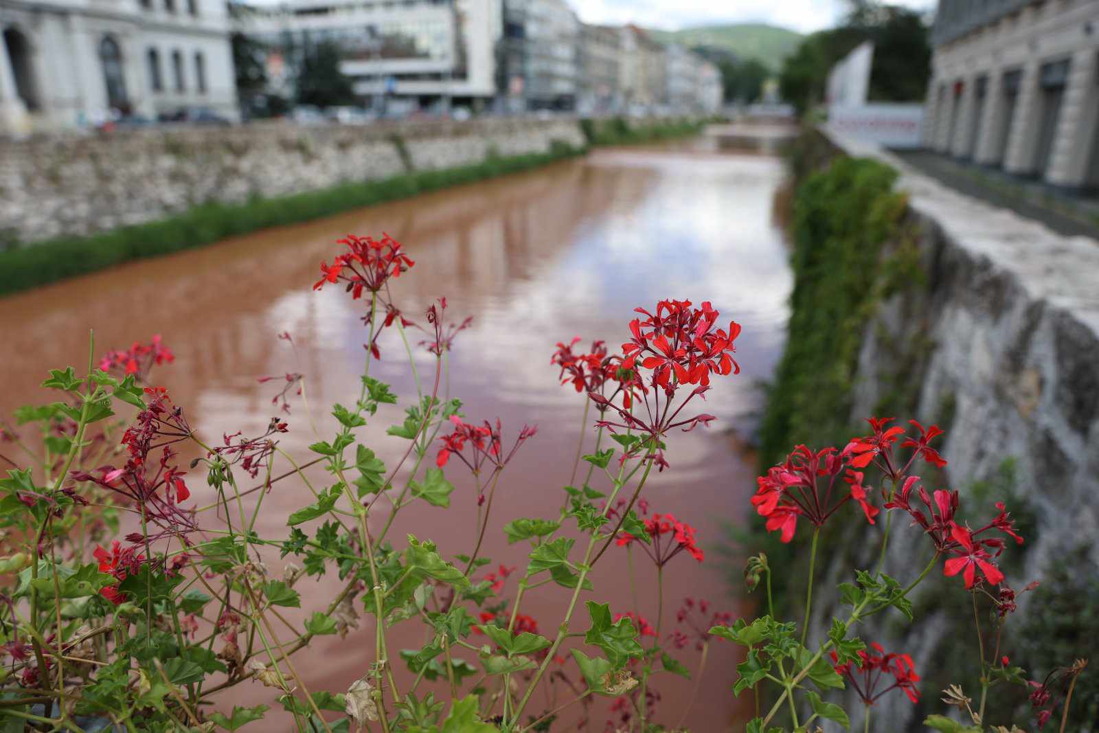 Jeste li primijetili kako je danas Miljacka promijenila boju? (FOTO) - BosnaInfo