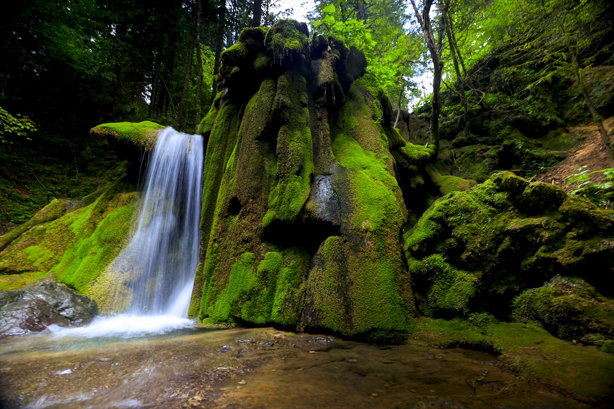 Vrelo Miljacke, skriveni biser prirode (FOTO) - BosnaInfo