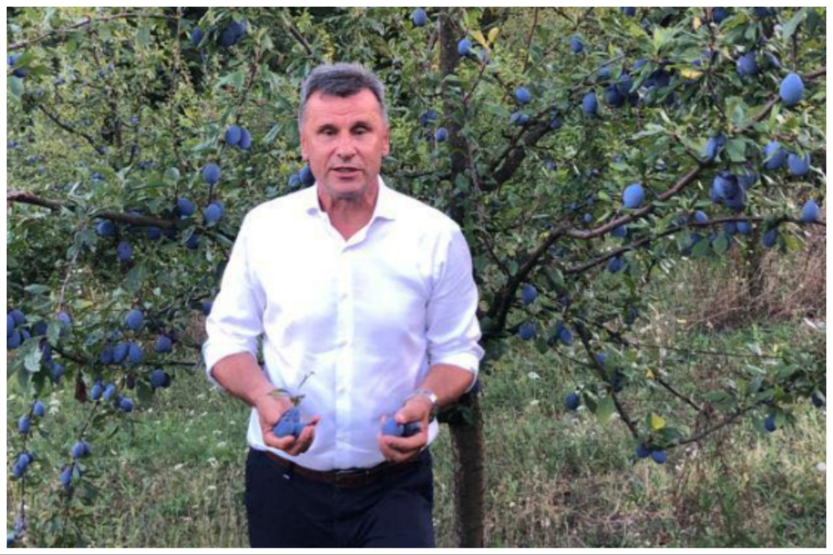 Šljive su rodile! Fadil Novalić se pohvalio svojim voćnjakom - BosnaInfo