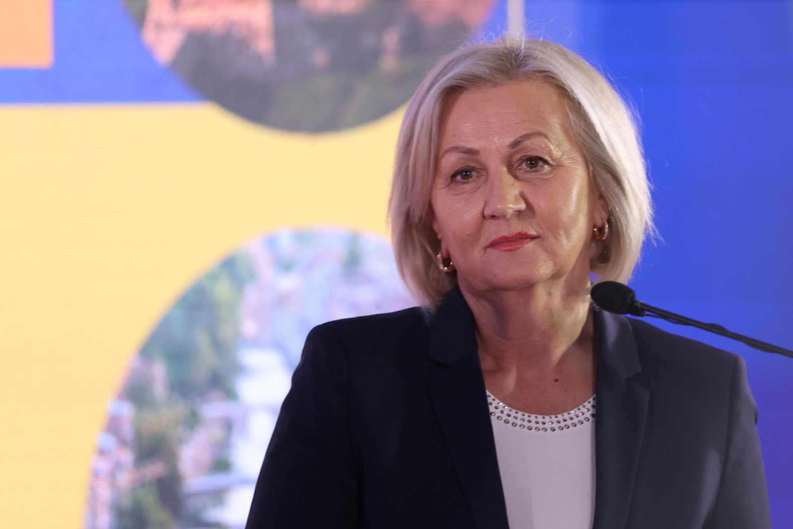 Krišto: Uvjete za pregovore s EU ispunit ćemo do kraja godine - BosnaInfo