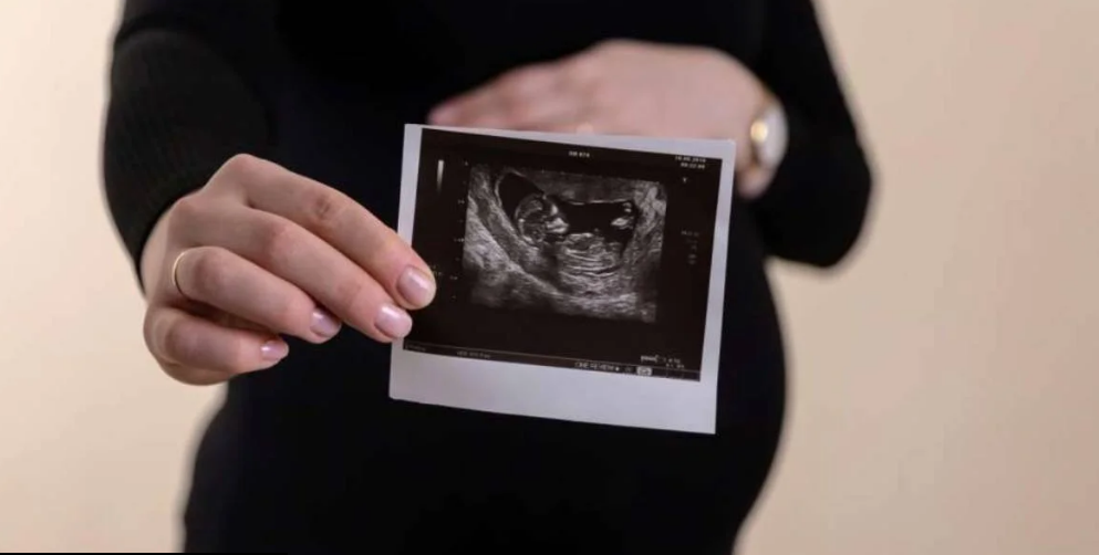 Nova studija istražuje anomalije ljudskog embrija