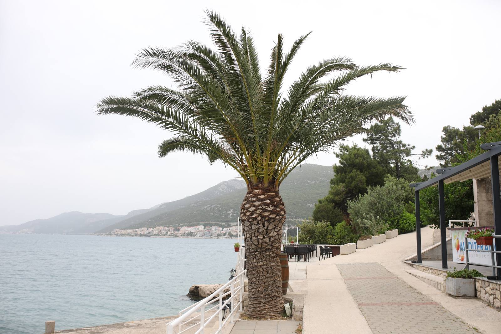 Neum: Potpisan memorandum o jačanju saradnje u oduzimanju nezakonite ...
