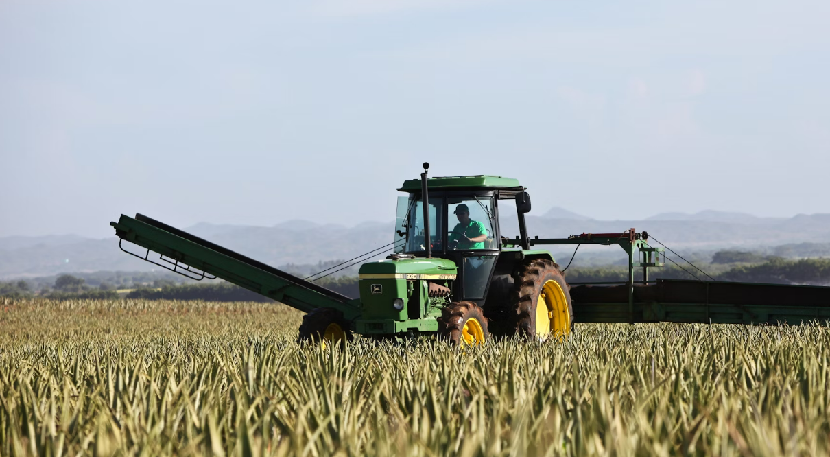 Njemu je tek 19, a njoj 28. Uhapšen dvojac koji je mjesecima prodavao ...