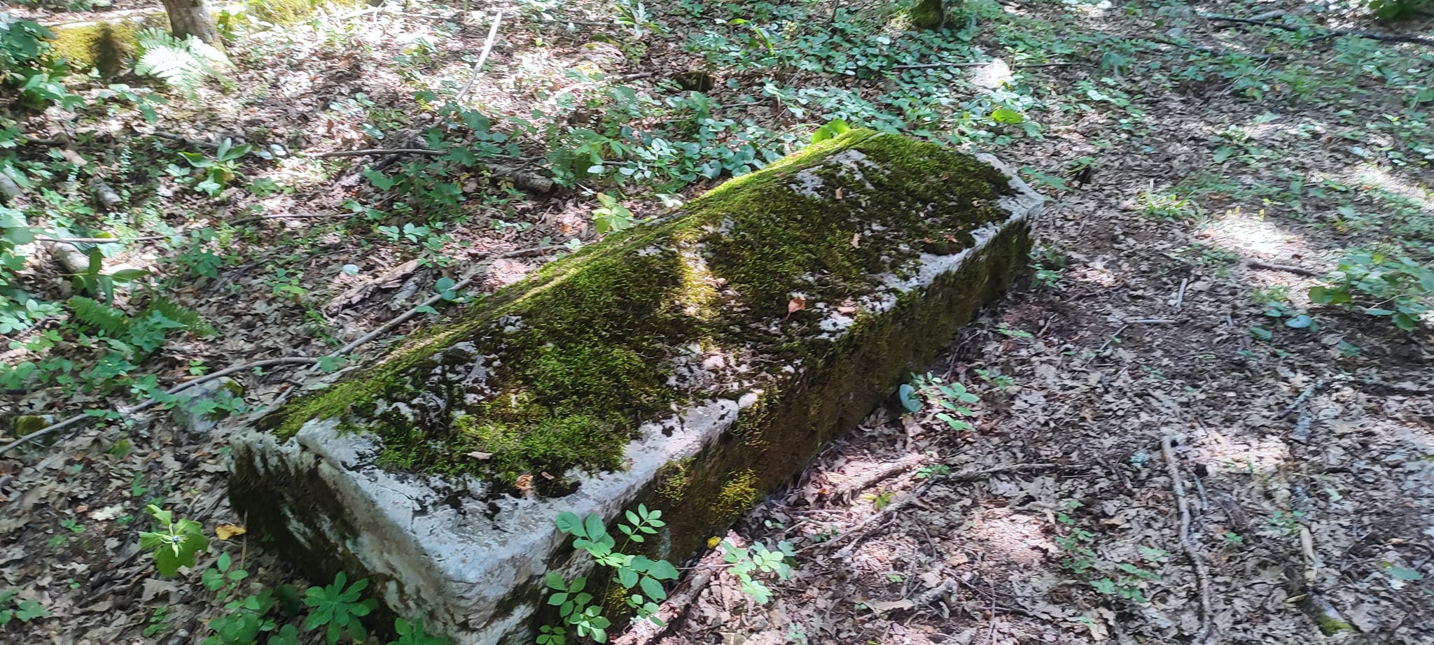 Veliko otkriće Fondacije "Čuvari baštine – Bassania": Nepoznata i ...