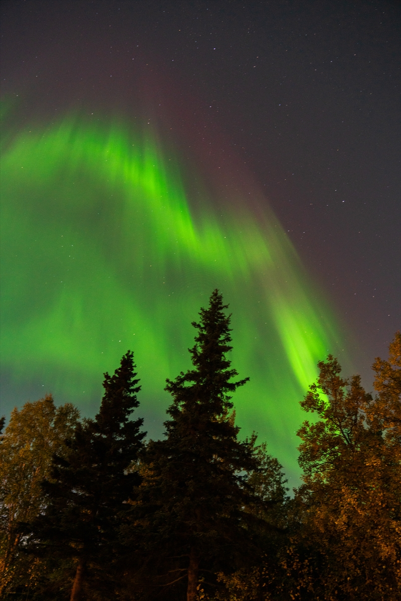 PREKRASNI PRIZORI Polarna svjetlost na nebu iznad Aljaske (FOTO)