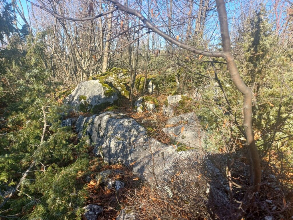 Fondacija “Čuvari baštine – Bassania” otkrila neevidentiranu ilirsku ...