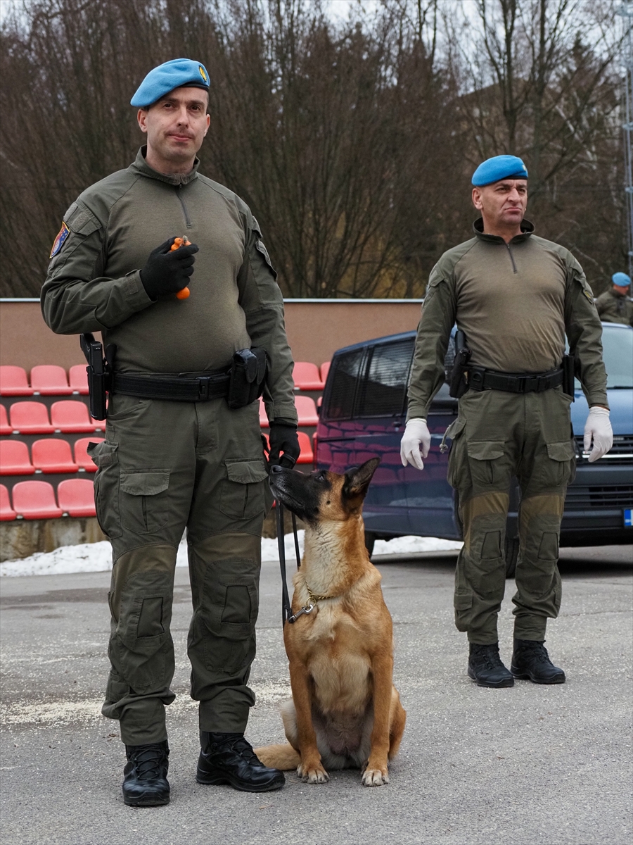 Policijski pas Rea najbolji tragač za eksplozivom u BiH