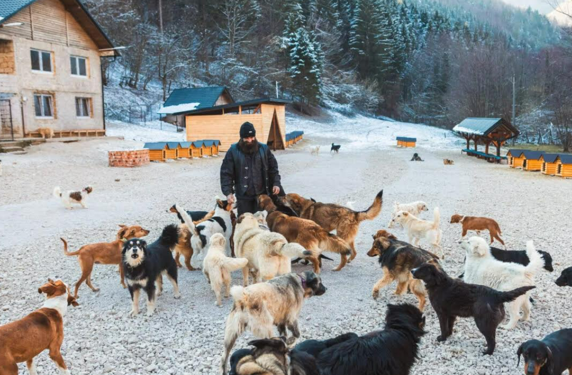 Od Švicarske do Jajca: Kako Jelović mijenja sudbine životinja? - BosnaInfo