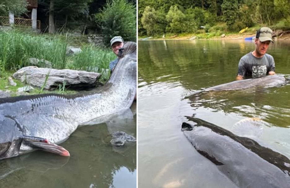 Ribolovac oborio rekord: Ulovio soma od 268 cm (FOTO)