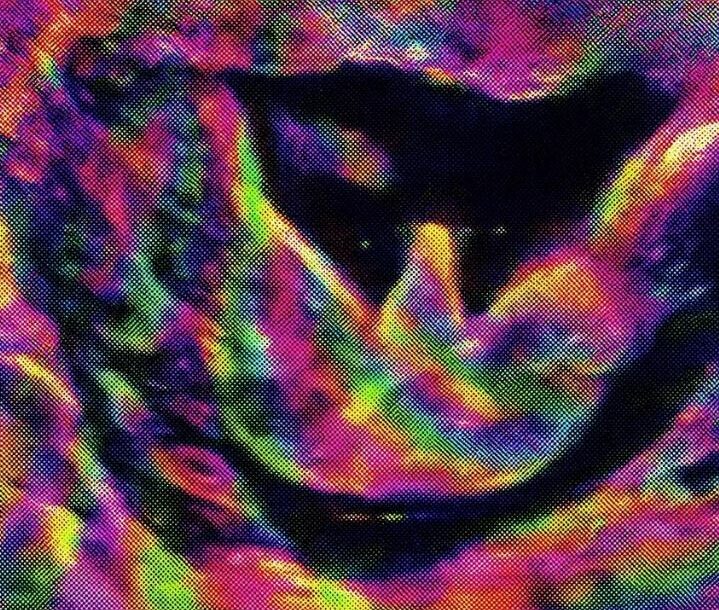 ISIDORA USLIKALA SERGEJA TRIFUNOVIĆA KAKO SPAVA Slika iz kreveta ...