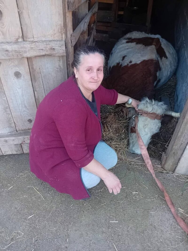 Porodicu Avdić pogodila velika nesreća: Uginula krava od koje su ...